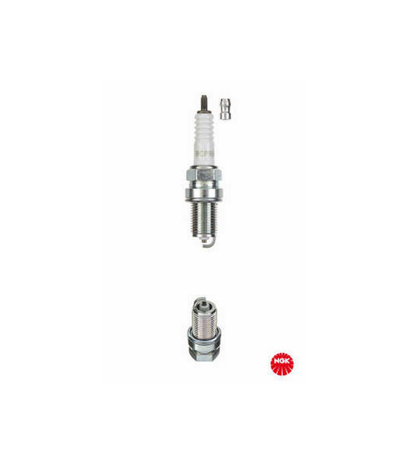 NGK BCPR6E Solid Terminal Spark Plug